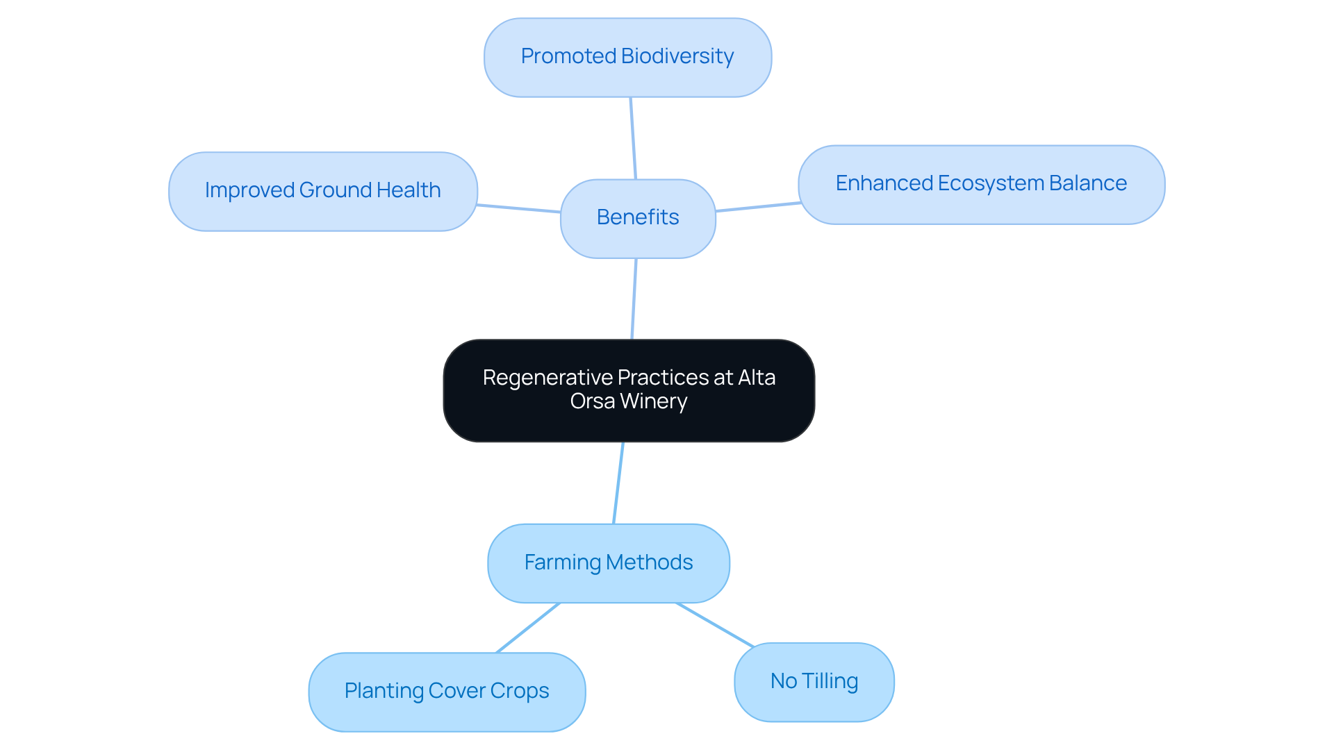 This mindmap illustrates how Alta Orsa Winery employs regenerative farming methods to improve soil health and promote biodiversity. Each branch represents a method or benefit, showing how they connect to the winery's commitment to sustainability and climate action. This mindmap illustrates how Alta Orsa Winery employs regenerative farming methods to improve soil health and promote biodiversity. Each branch represents a method or benefit, showing how they connect to the winery's commitment to sustainability and climate action.