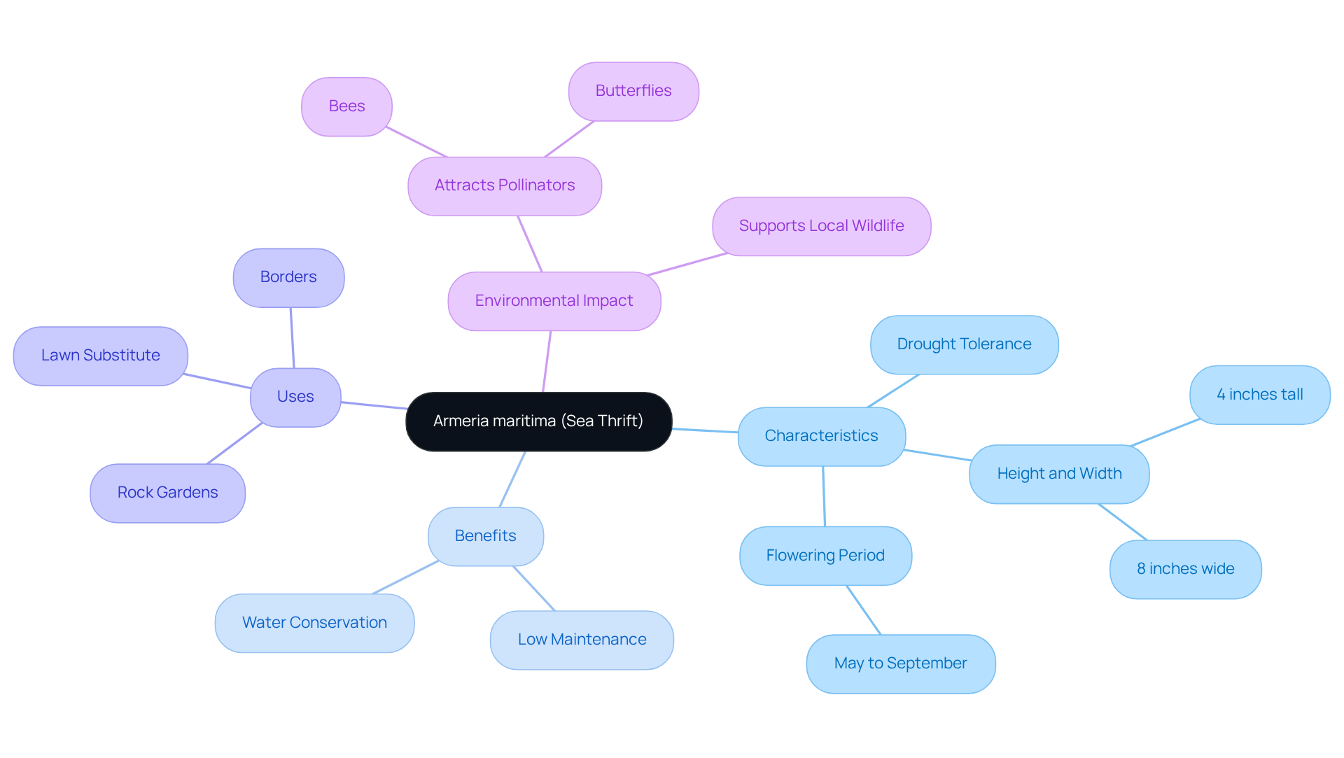 This mindmap illustrates the various aspects of sea thrift. Start at the center with the plant's name, then explore its characteristics, benefits, uses, and how it impacts the environment. Each branch represents a different category, helping you see how they all connect.