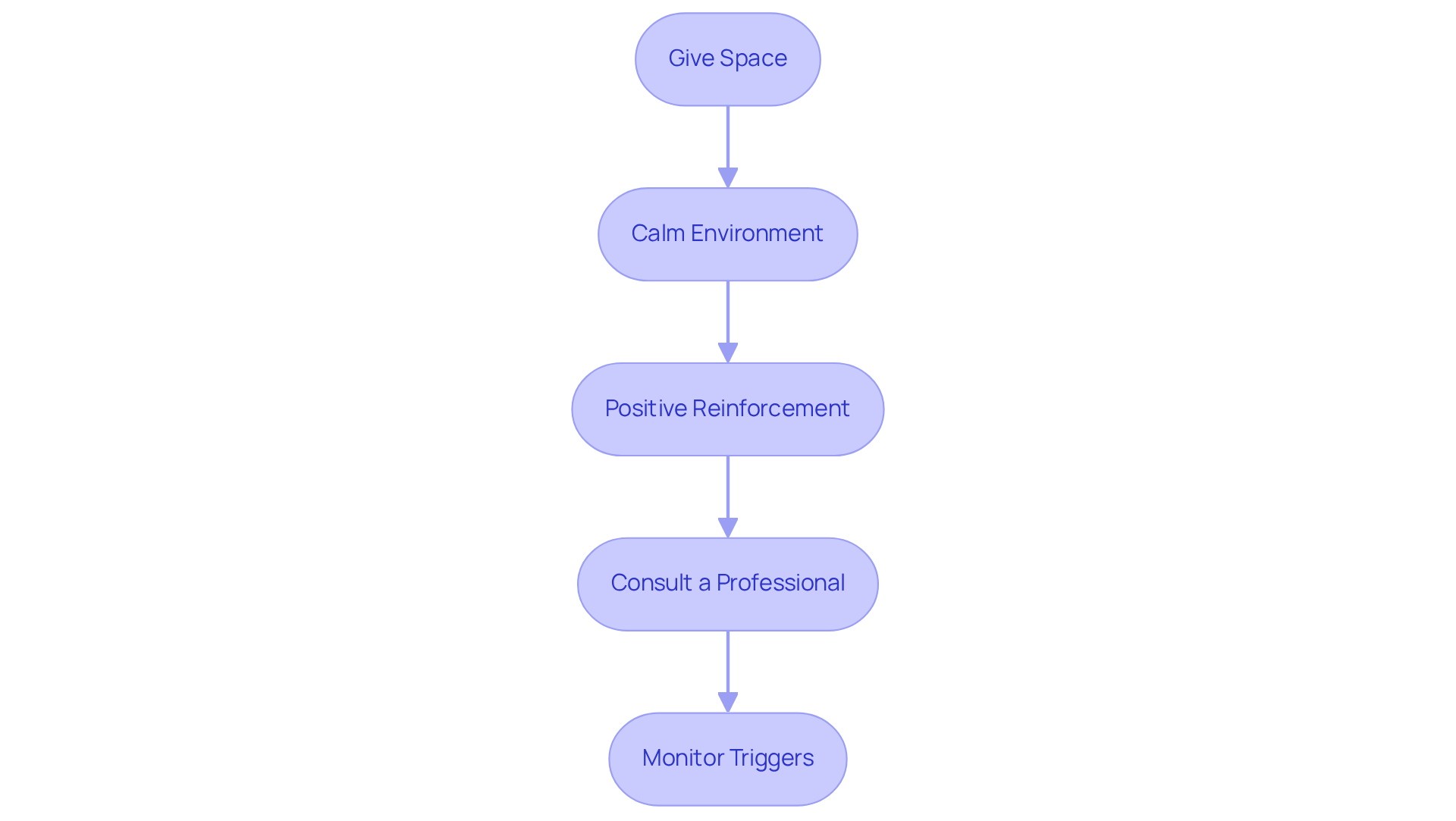 Each box details a specific action to take. Follow the arrows to understand the sequence of responses that can help your dog feel more secure and comfortable.