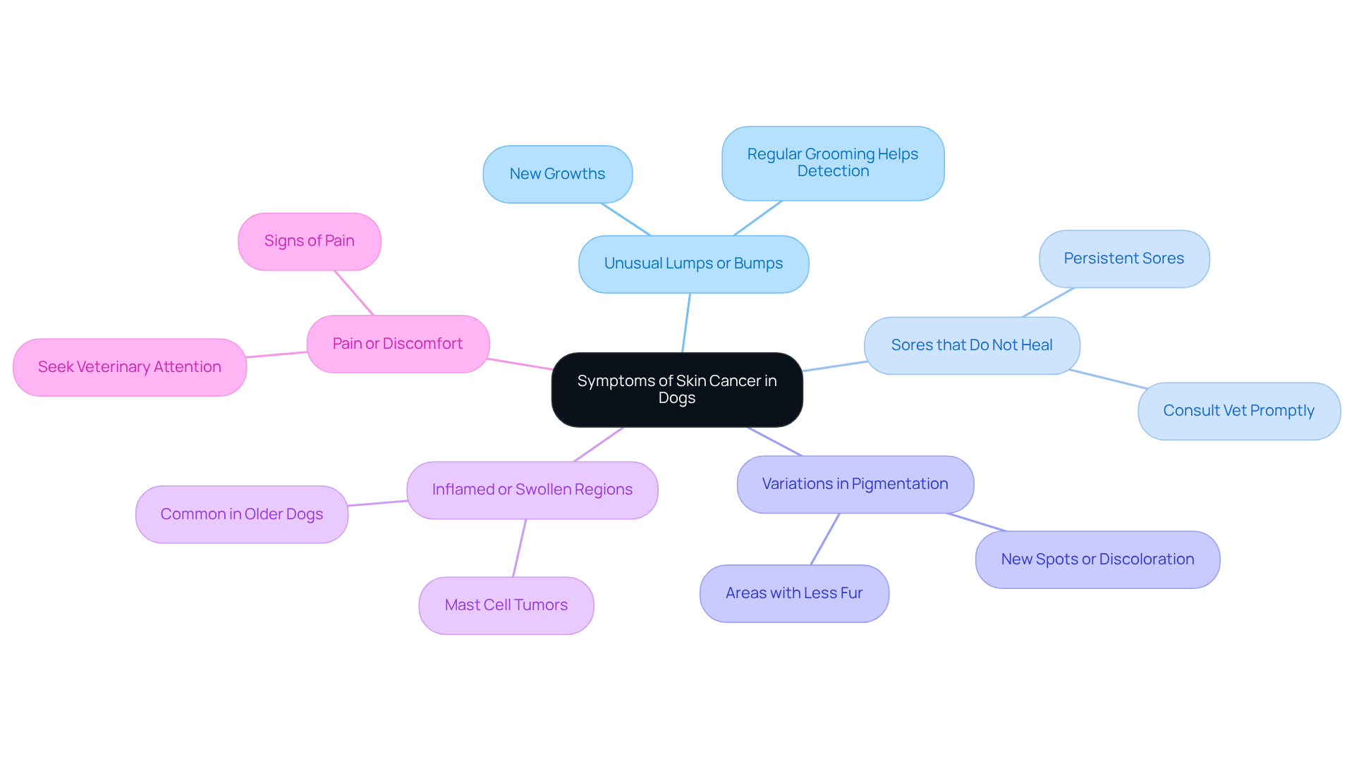 The central node represents the overall concern of skin cancer in dogs, while the surrounding branches detail specific symptoms to watch for. Each branch is a crucial sign that pet owners should monitor closely.