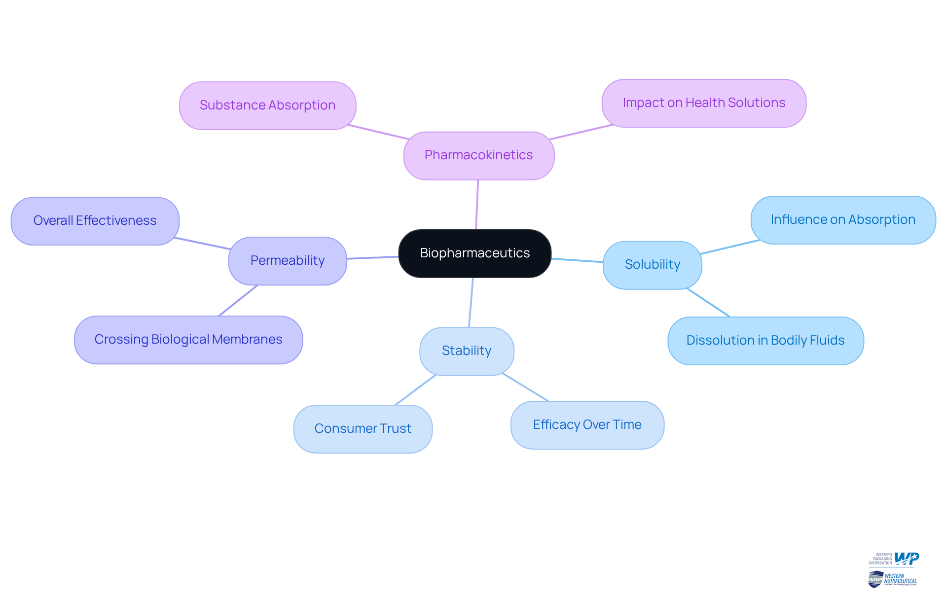 The center represents biopharmaceutics, while the branches show its key characteristics. Each characteristic is essential for understanding how biopharmaceutics functions in health solutions - follow the branches to explore each one!