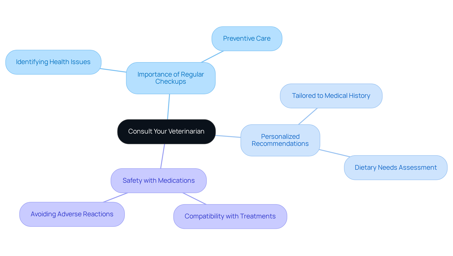 The center represents the main idea of consulting a veterinarian. Each branch shows related topics that highlight why this consultation is crucial for your dog's health and well-being.