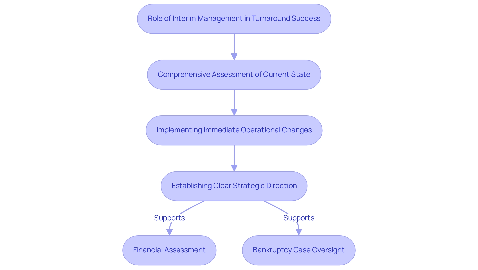 Light blue boxes represent the responsibilities of interim managers, while light green boxes indicate the services provided by the turnaround management company.