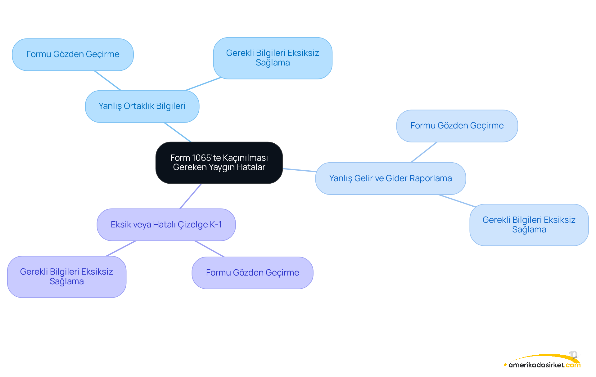 Merkezdeki başlık, Form 1065 ile ilgili yaygın hataları gösteriyor. Dallar, her hatayı ve bu hataların nasıl önlenebileceğini açıklıyor. Renkler, her dalın farklı bir konuyu temsil ettiğini belirtmek için kullanılıyor.