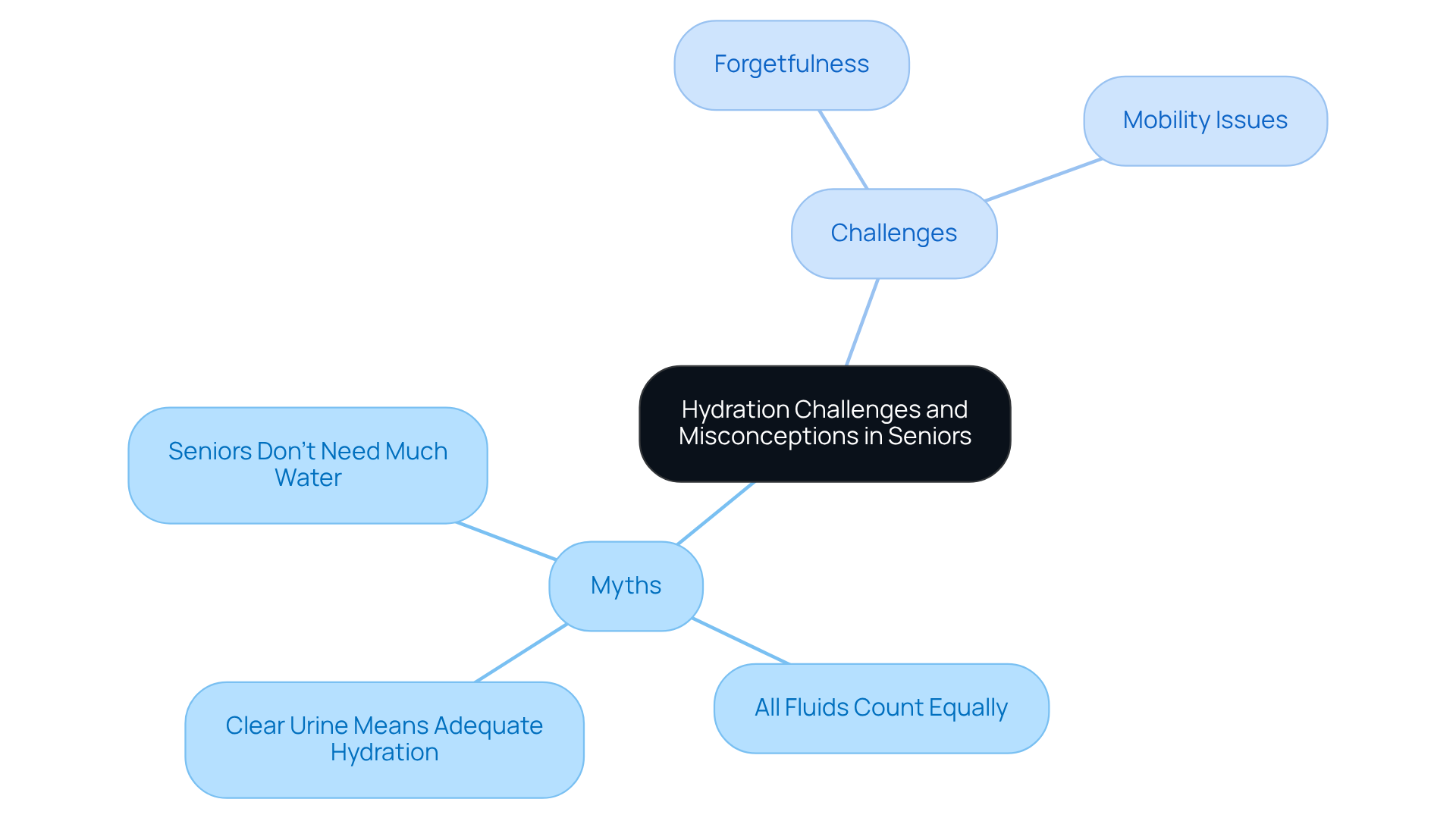 The central node represents the overall topic of hydration for seniors. The branches show different myths and challenges caregivers face, helping to clarify misconceptions and highlight important considerations for proper hydration.