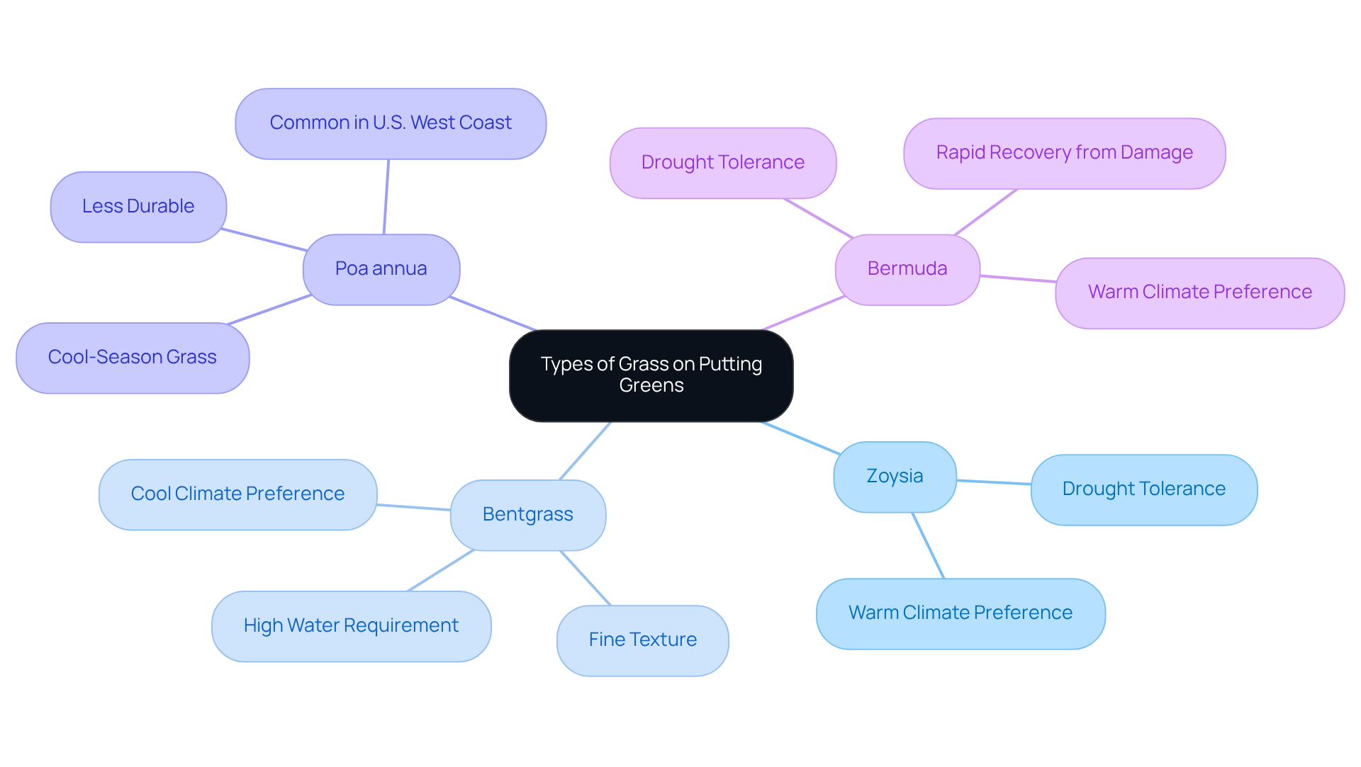 The center shows the main topic of grass types, and each branch leads to specific varieties with their unique traits. This helps you understand which grass is best for different conditions.