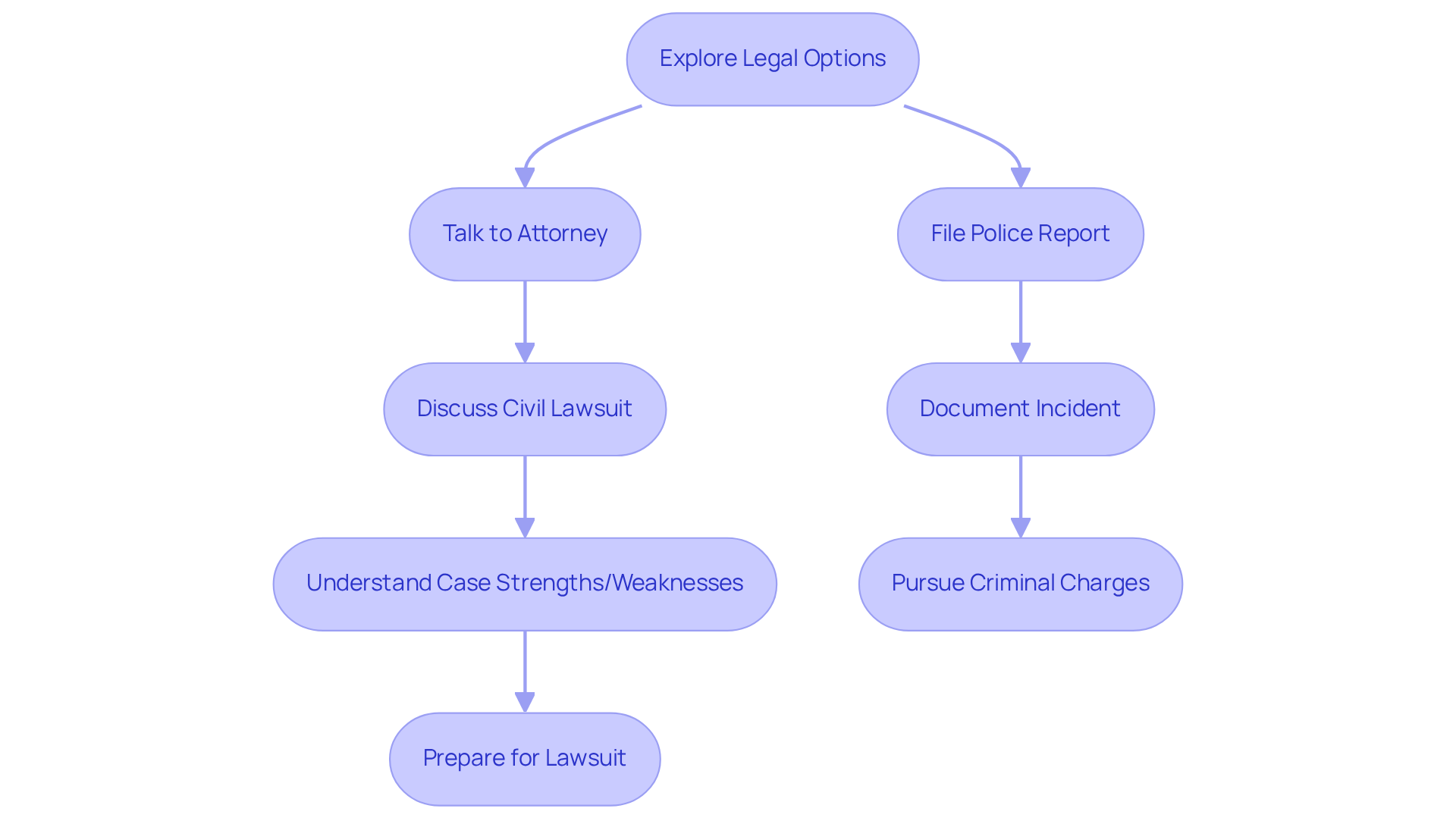 This flowchart guides you through the steps to take when considering legal action. Start at the top and follow the arrows to see what you should do next, whether it's talking to your attorney or filing a police report.
