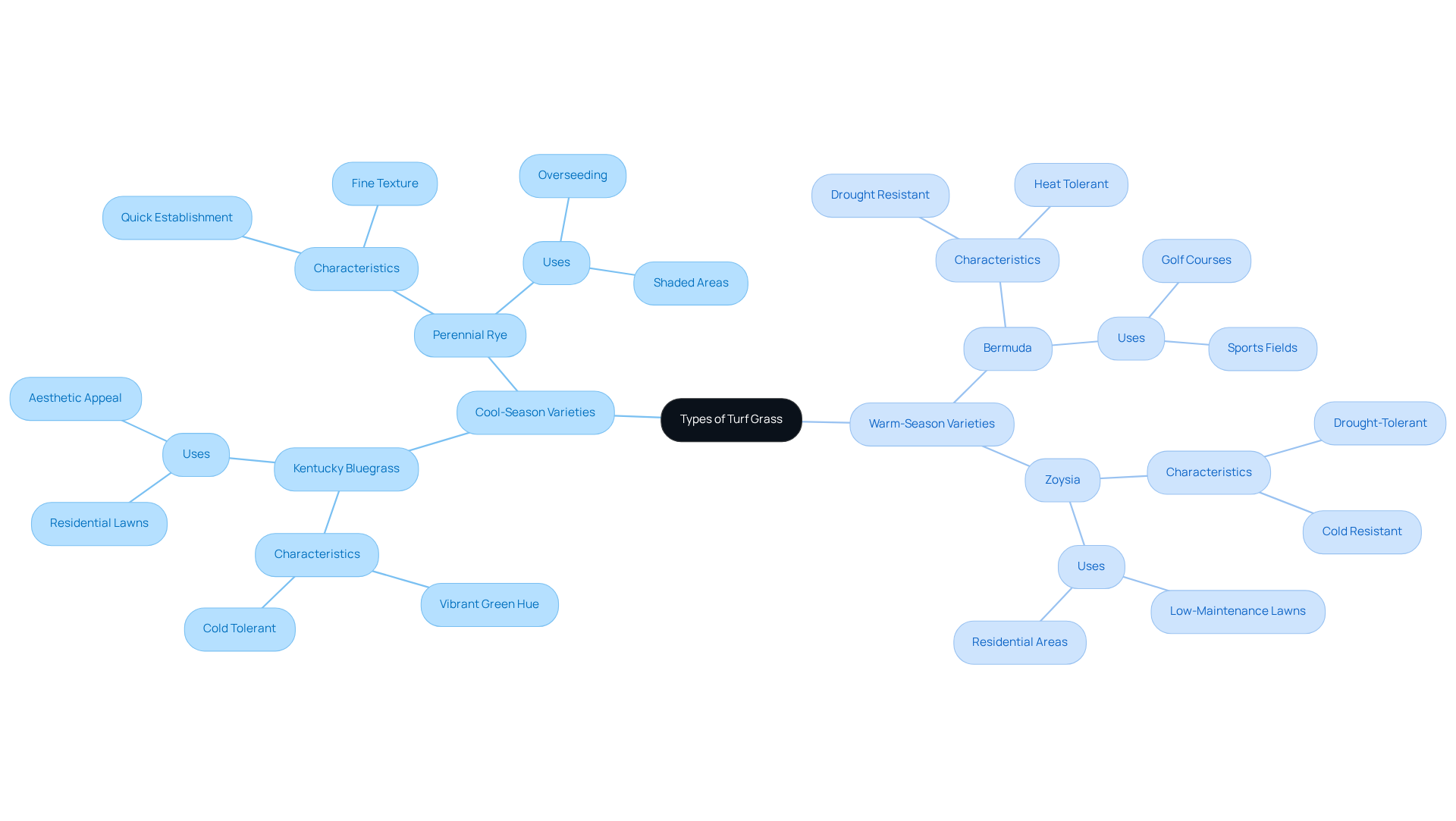 The central node represents the main topic of turf grass types. The branches show the two main categories, and the sub-branches provide specific examples and their uses, helping you understand which grass is best for your needs.