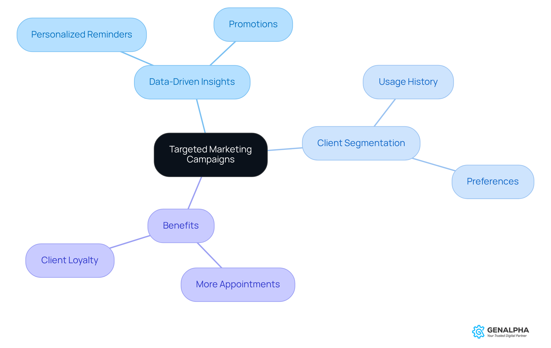 Start at the center with the main idea of targeted marketing, then follow the branches to see how data insights lead to client segmentation and the benefits that follow.