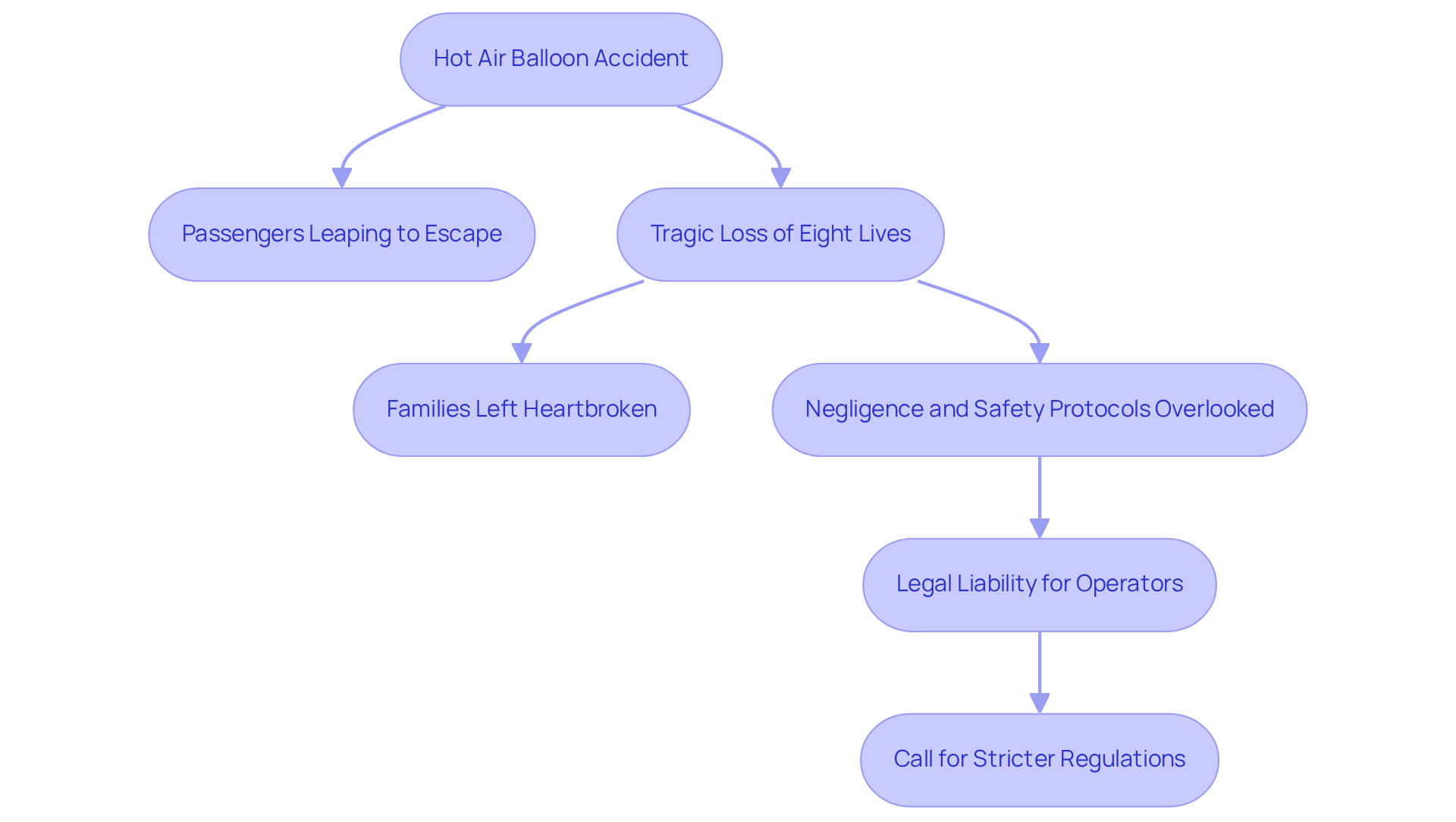 Follow the arrows to see how the tragic accident led to immediate responses and calls for change. Each box represents a key event or consequence, helping you understand the full impact of this heartbreaking incident.