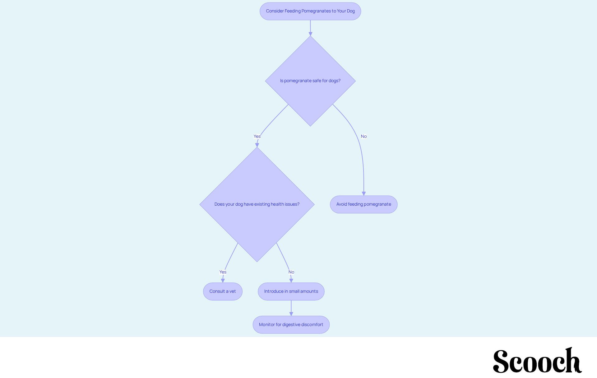 Follow the arrows to see the steps to take before feeding your dog pomegranates, including important questions and recommended actions based on your dog's health.