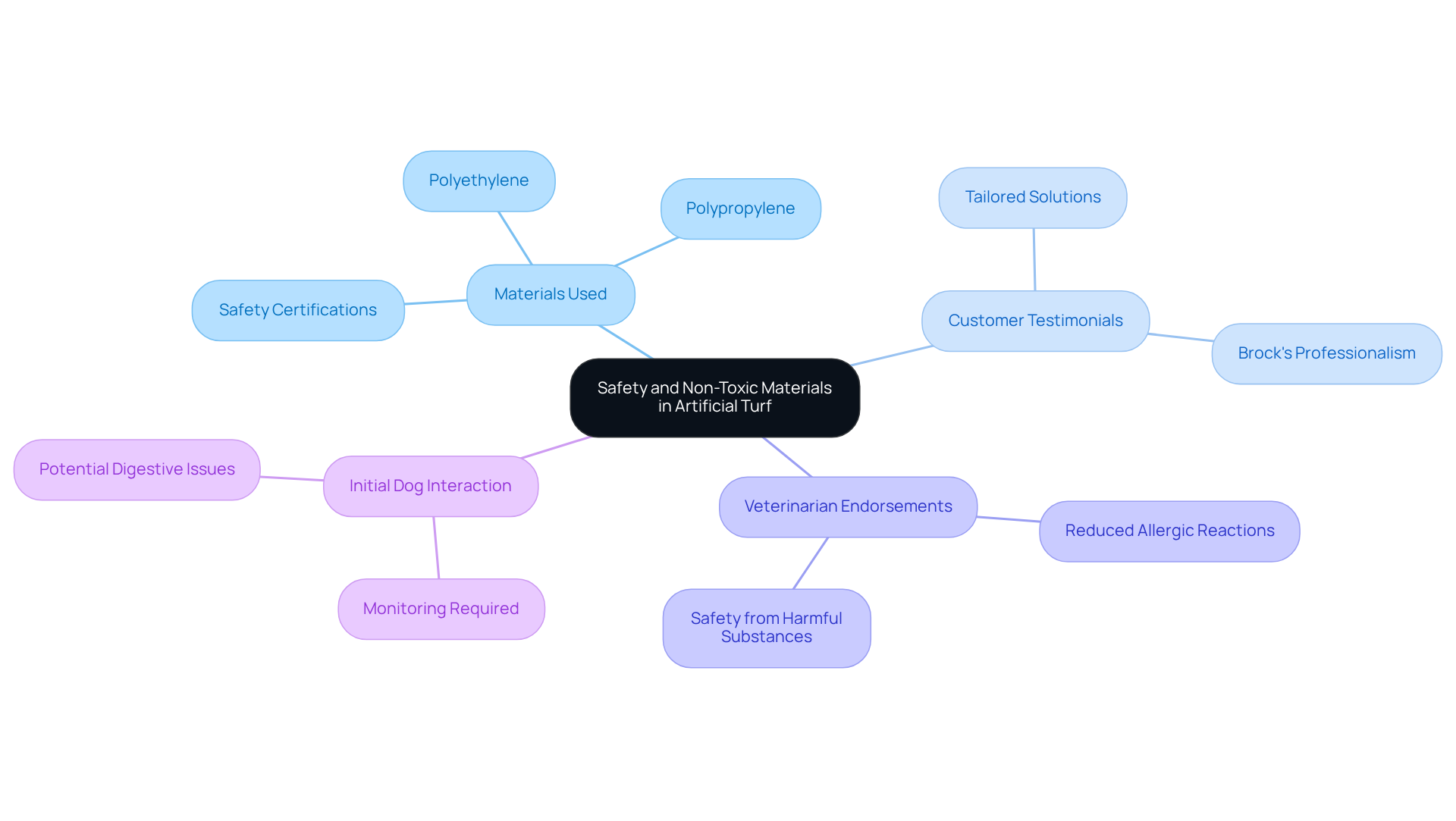 The central node represents the main topic, while the branches show different aspects of safety and quality in synthetic grass. Each branch connects to specific details, helping you understand how they all contribute to a safe environment for pets. The central node represents the main topic, while the branches show different aspects of safety and quality in synthetic grass. Each branch connects to specific details, helping you understand how they all contribute to a safe environment for pets.