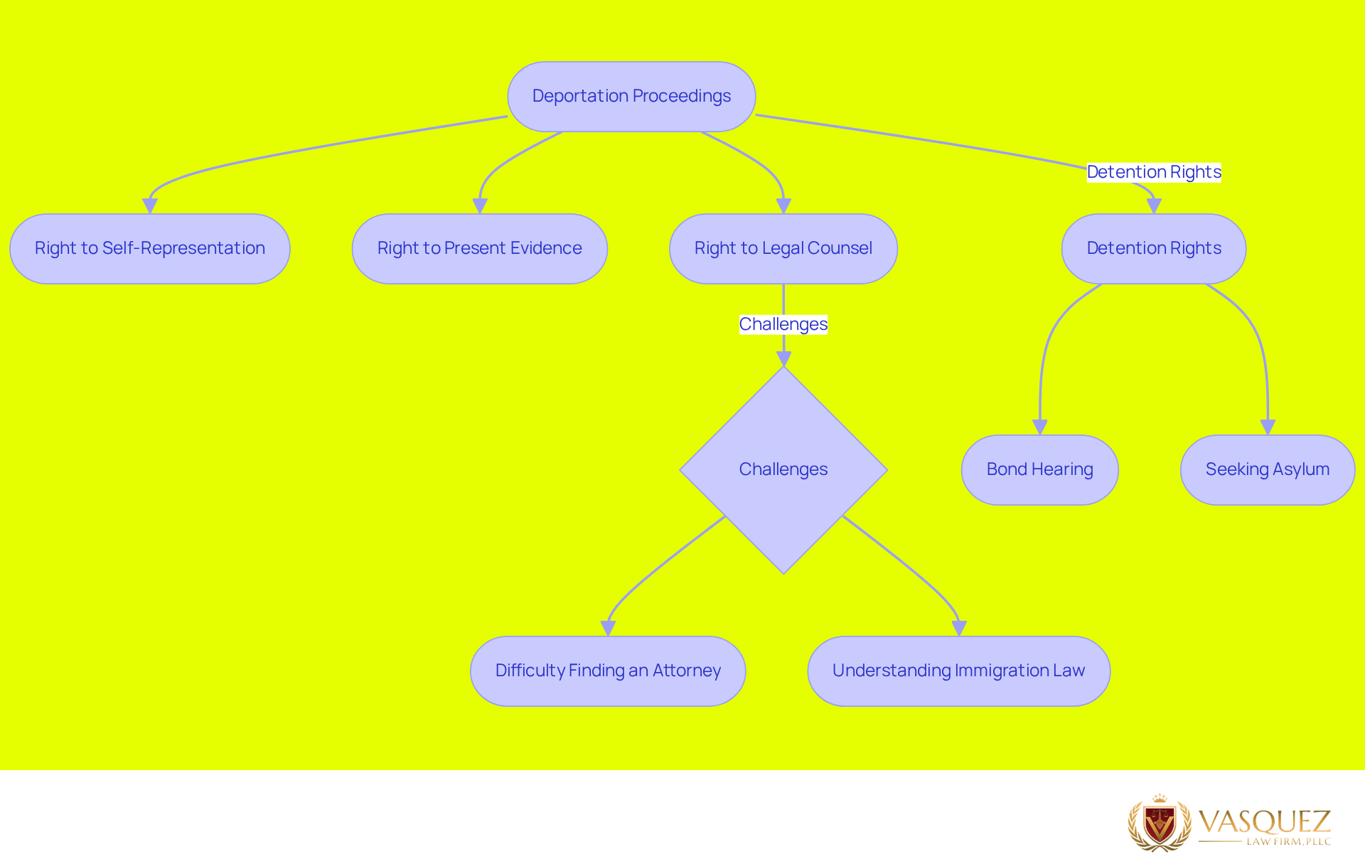 This flowchart illustrates the steps and rights individuals have during deportation proceedings. Each box represents a key right or challenge, and the arrows show how they connect to the overall process. Follow the flow to understand what rights you have and the potential paths you can take.