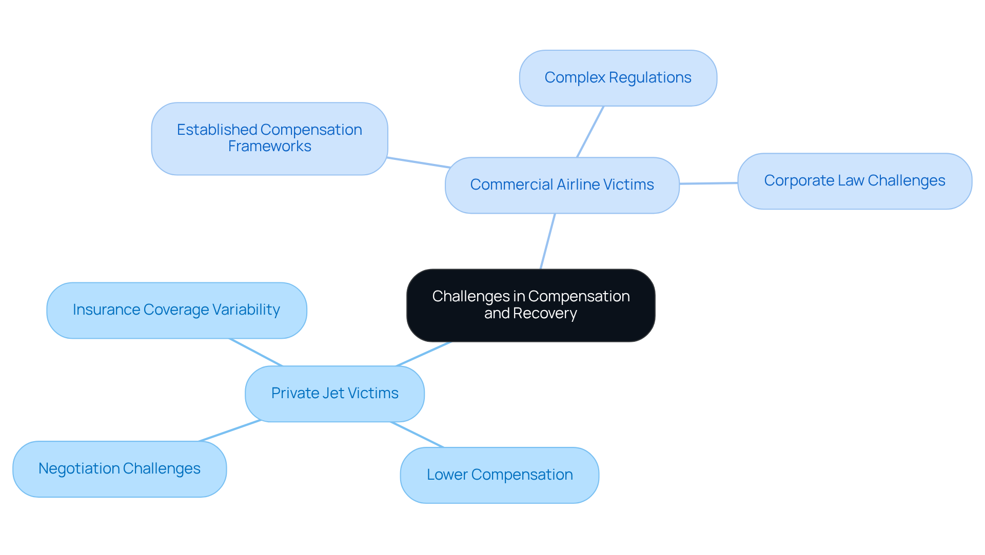 The central node represents the overall topic, while the branches show the specific challenges faced by each group of victims. Each color-coded branch helps differentiate between private jet and commercial airline issues, making it easier to understand their unique situations.