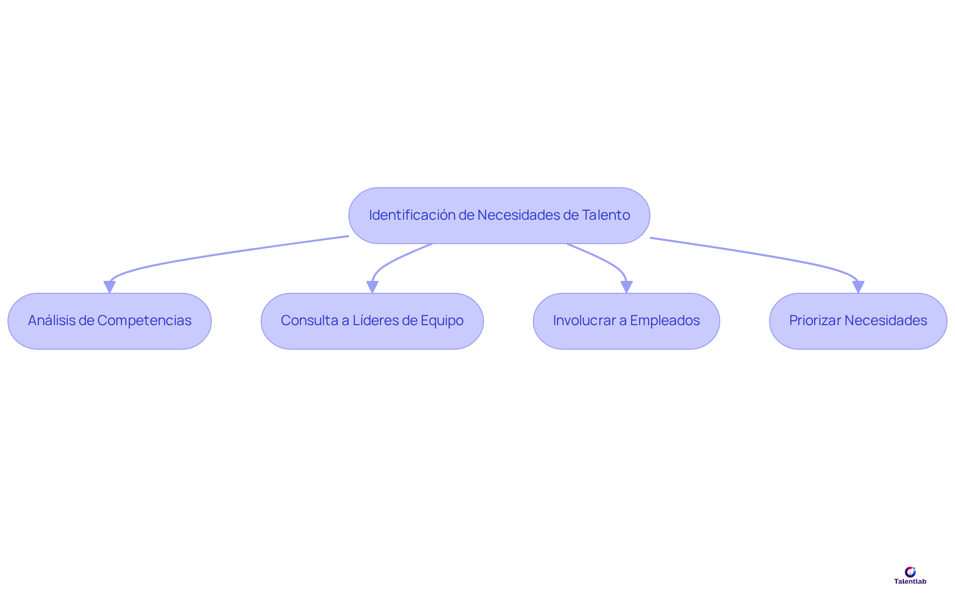 Cada cuadro representa un paso en el proceso de identificación de talento. Sigue las flechas para ver cómo cada paso se conecta y contribuye al objetivo de preparar a la empresa para el futuro.