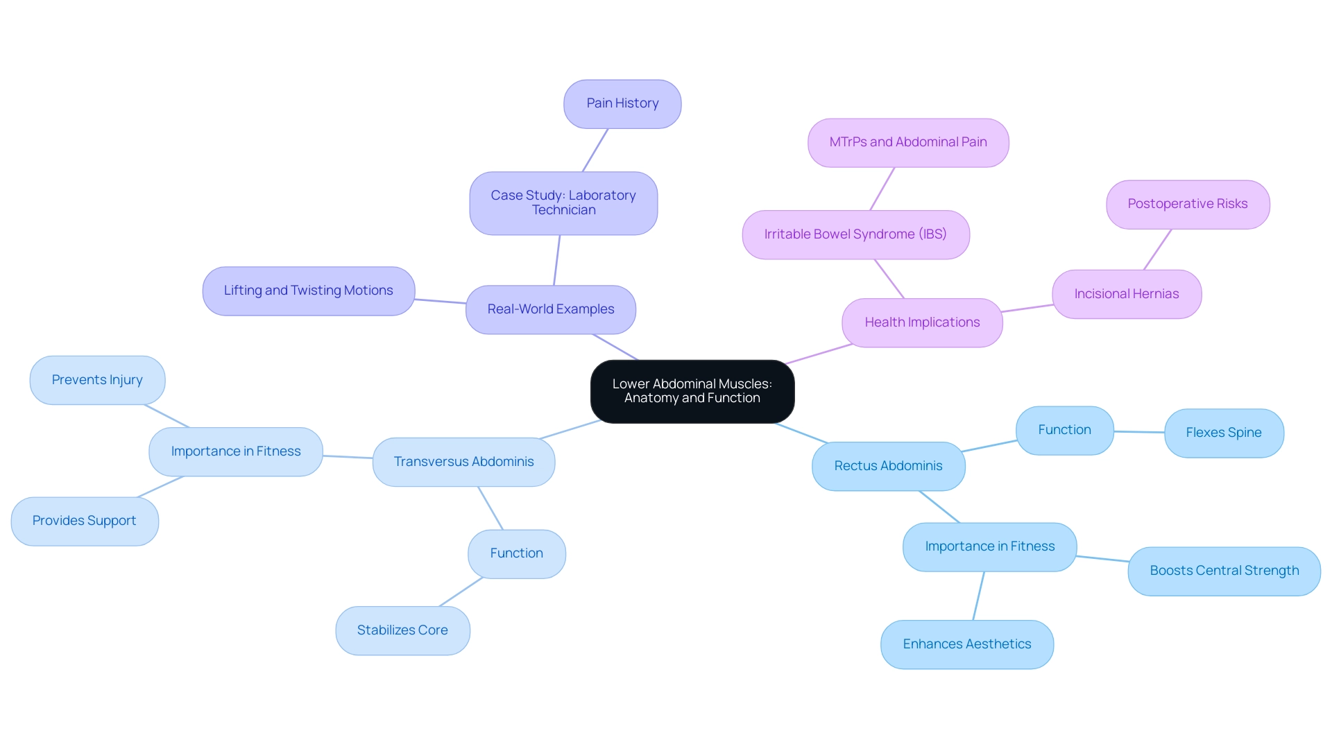 The central node represents the overall topic, with branches showing the two main muscles and their functions, along with implications for fitness and health.