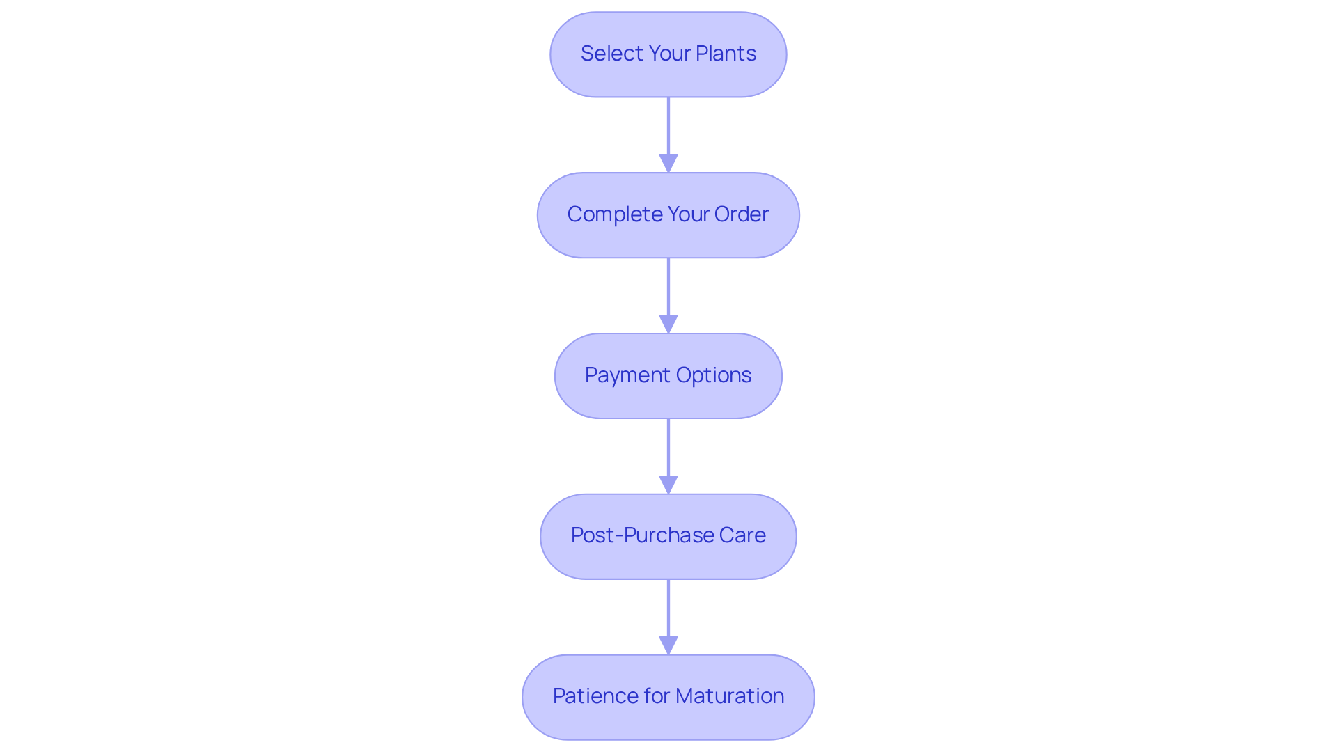 Each box in the flowchart represents a step in buying and caring for your pineapple plants. Follow the arrows to see how each step leads to the next, ensuring you don’t miss anything important.