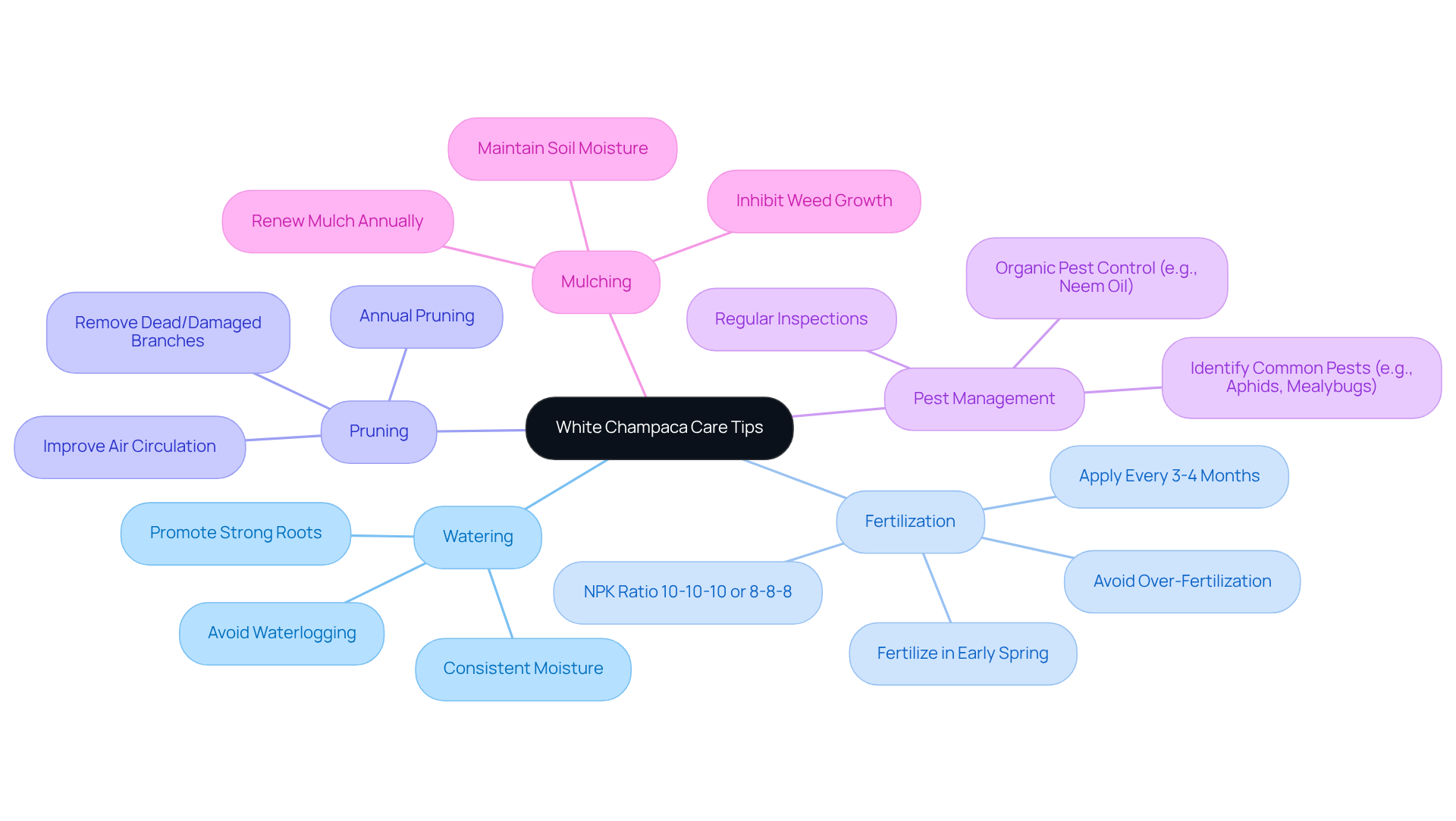 The central node represents the overall care tips, with branches detailing specific categories. Each sub-point under the branches provides more detailed actions or recommendations related to that category.