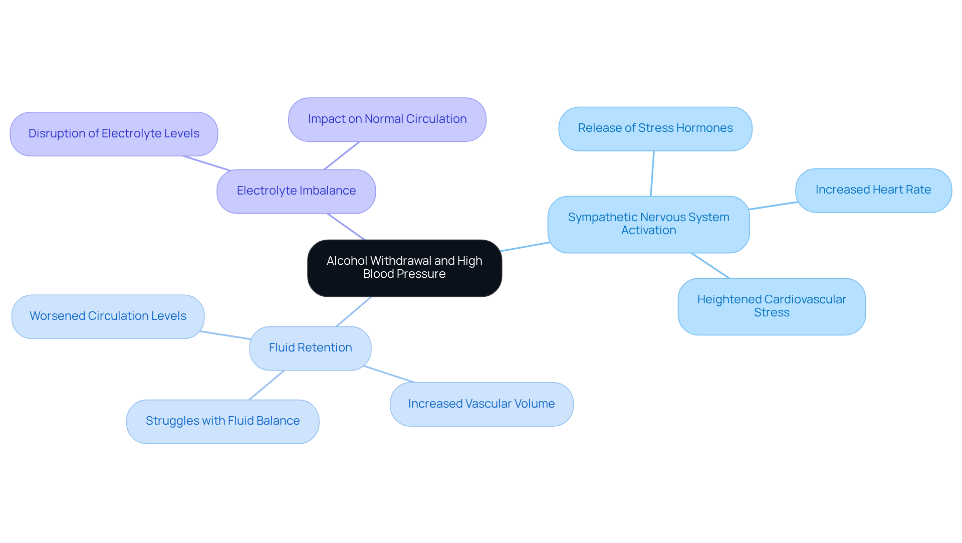 The central node represents the main topic, while the branches show the key physiological changes that can lead to high blood pressure during alcohol withdrawal. Each branch explains a specific factor, helping you understand how they connect to the overall issue. The central node represents the main topic, while the branches show the key physiological changes that can lead to high blood pressure during alcohol withdrawal. Each branch explains a specific factor, helping you understand how they connect to the overall issue.