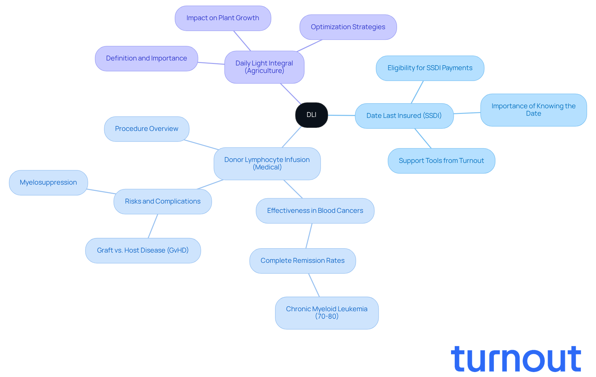 The central node represents DLI, and each branch shows a different meaning. The sub-branches provide more details about each context, helping you understand the unique aspects of DLI in various fields. The central node represents DLI, and each branch shows a different meaning. The sub-branches provide more details about each context, helping you understand the unique aspects of DLI in various fields.