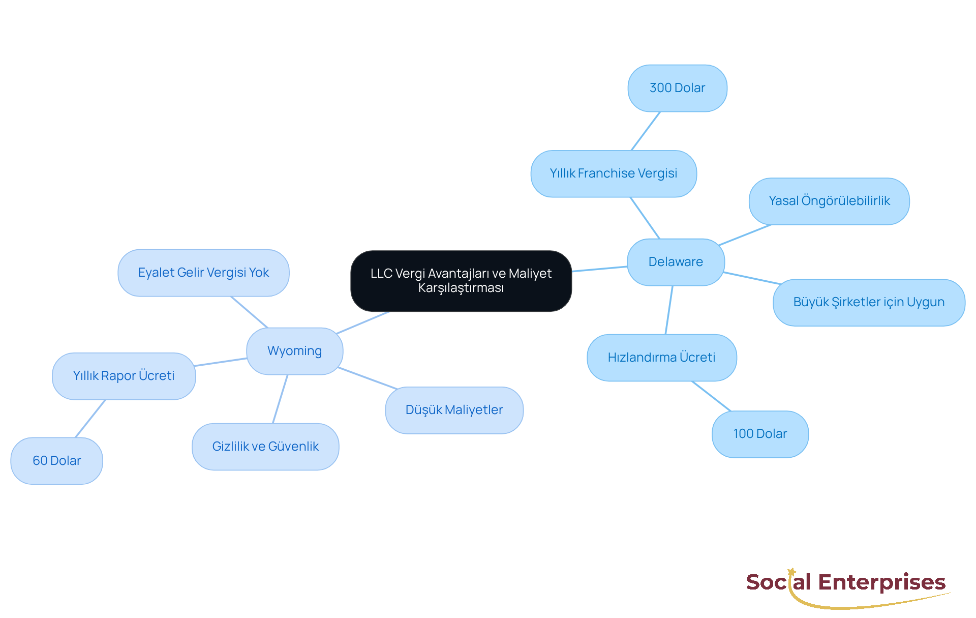 Merkezdeki konu genel çerçeveyi belirtiyor. Dallar, her eyaletin avantajlarını ve maliyetlerini gösteriyor. Her dalın altındaki bilgiler, her eyaletin kendi içindeki detayları açıklıyor. Merkezdeki konu genel çerçeveyi belirtiyor. Dallar, her eyaletin avantajlarını ve maliyetlerini gösteriyor. Her dalın altındaki bilgiler, her eyaletin kendi içindeki detayları açıklıyor.