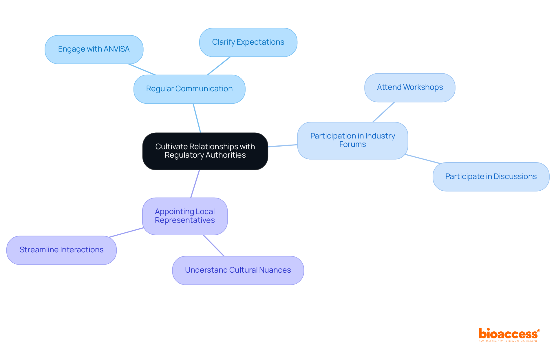 The central idea is about building relationships with regulatory bodies. Each branch represents a strategy to enhance these relationships, and the sub-branches provide specific actions or insights related to each strategy.