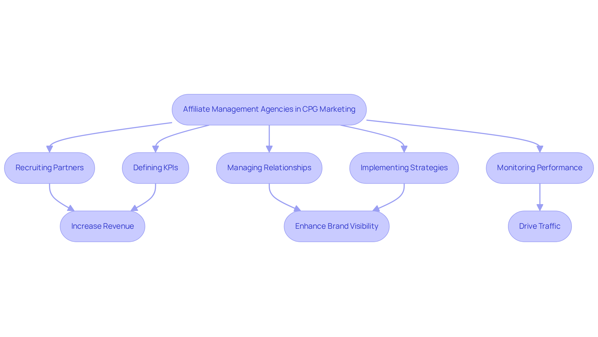 This flowchart shows how affiliate management agencies operate in CPG marketing. Each box represents a key function, and the arrows illustrate how these functions connect and lead to outcomes like increased revenue and brand visibility. This flowchart shows how affiliate management agencies operate in CPG marketing. Each box represents a key function, and the arrows illustrate how these functions connect and lead to outcomes like increased revenue and brand visibility.