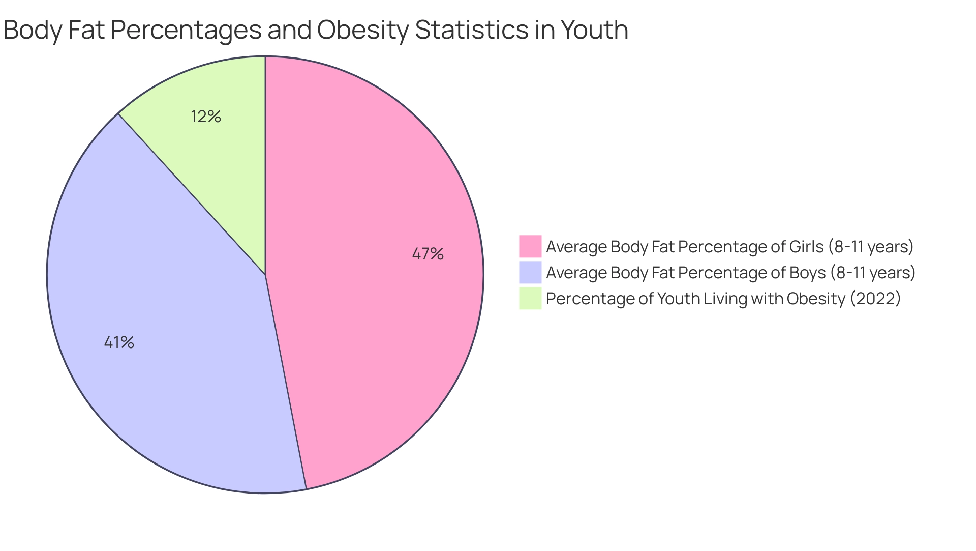 The blue slice represents the average body fat percentage of boys, the pink slice represents girls, and the green slice indicates the percentage of youth living with obesity.