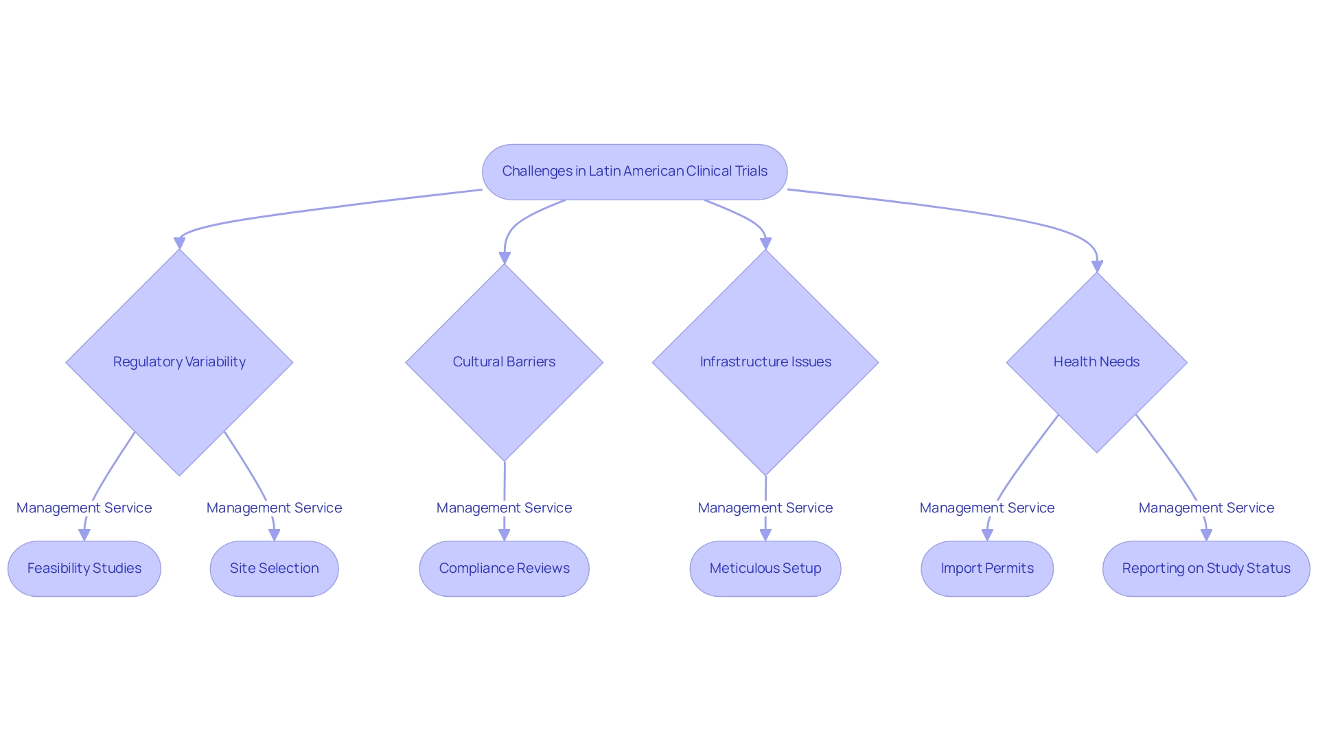 Each section represents a challenge (Regulatory, Cultural, Infrastructure, Health Needs), with arrows indicating the flow towards corresponding management solutions.