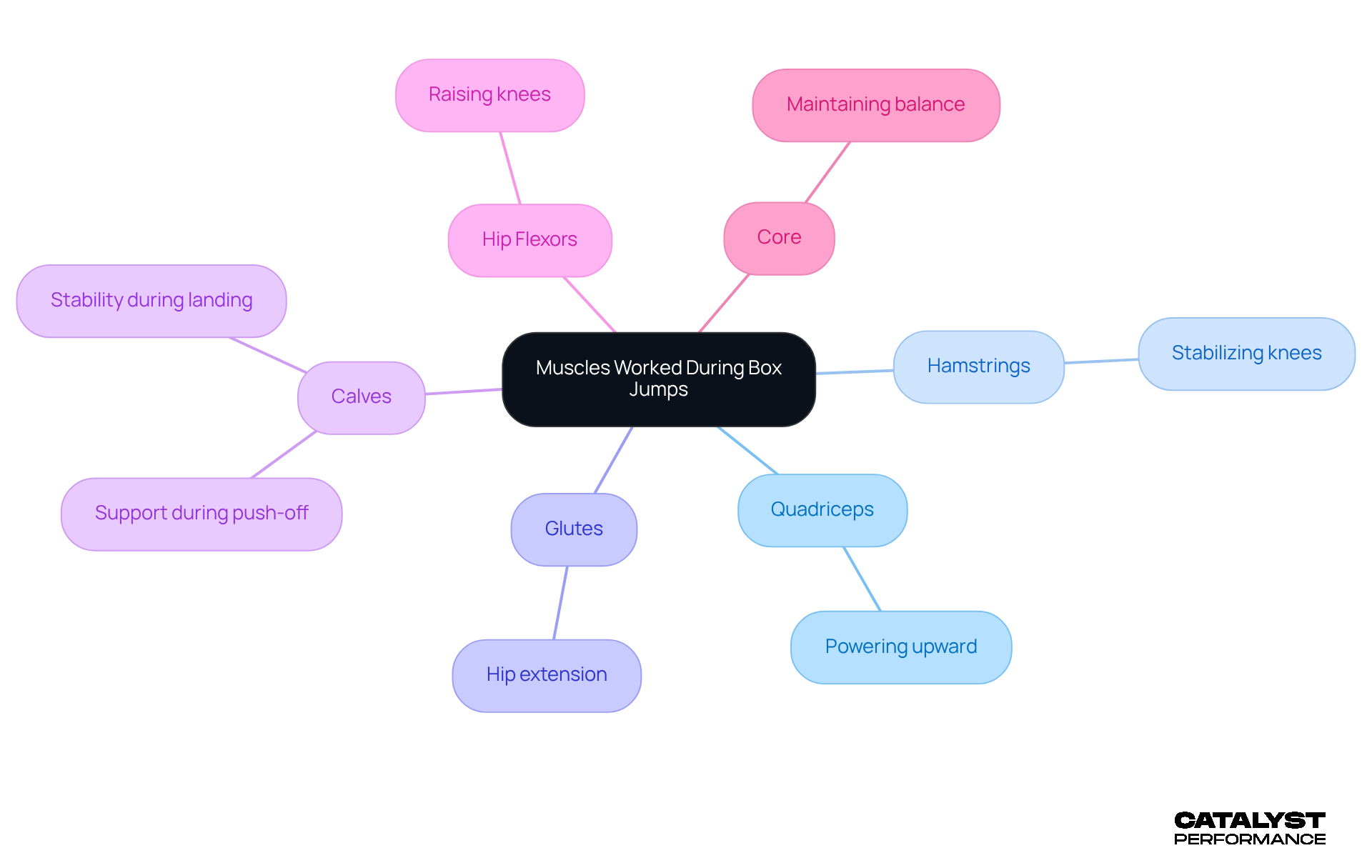The central node represents the main topic, while the branches show different muscle groups involved in box jumps. Each muscle group has its own color and details about its function, helping you understand how they work together to enhance your [[[[[[[athletic performance](https://blog.catalystperformance.sg/why-choose-catalyst-performance-health-club-over-traditional-gyms)](https://blog.catalystperformance.sg/why-choose-catalyst-performance-health-club-over-traditional-gyms)](https://blog.catalystperformance.sg/why-choose-catalyst-performance-health-club-over-traditional-gyms)](https://blog.catalystperformance.sg/why-choose-catalyst-performance-health-club-over-traditional-gyms)](https://blog.catalystperformance.sg/why-choose-catalyst-performance-health-club-over-traditional-gyms)](https://blog.catalystperformance.sg/why-choose-catalyst-performance-health-club-over-traditional-gyms)](https://blog.catalystperformance.sg/why-choose-catalyst-performance-health-club-over-traditional-gyms).