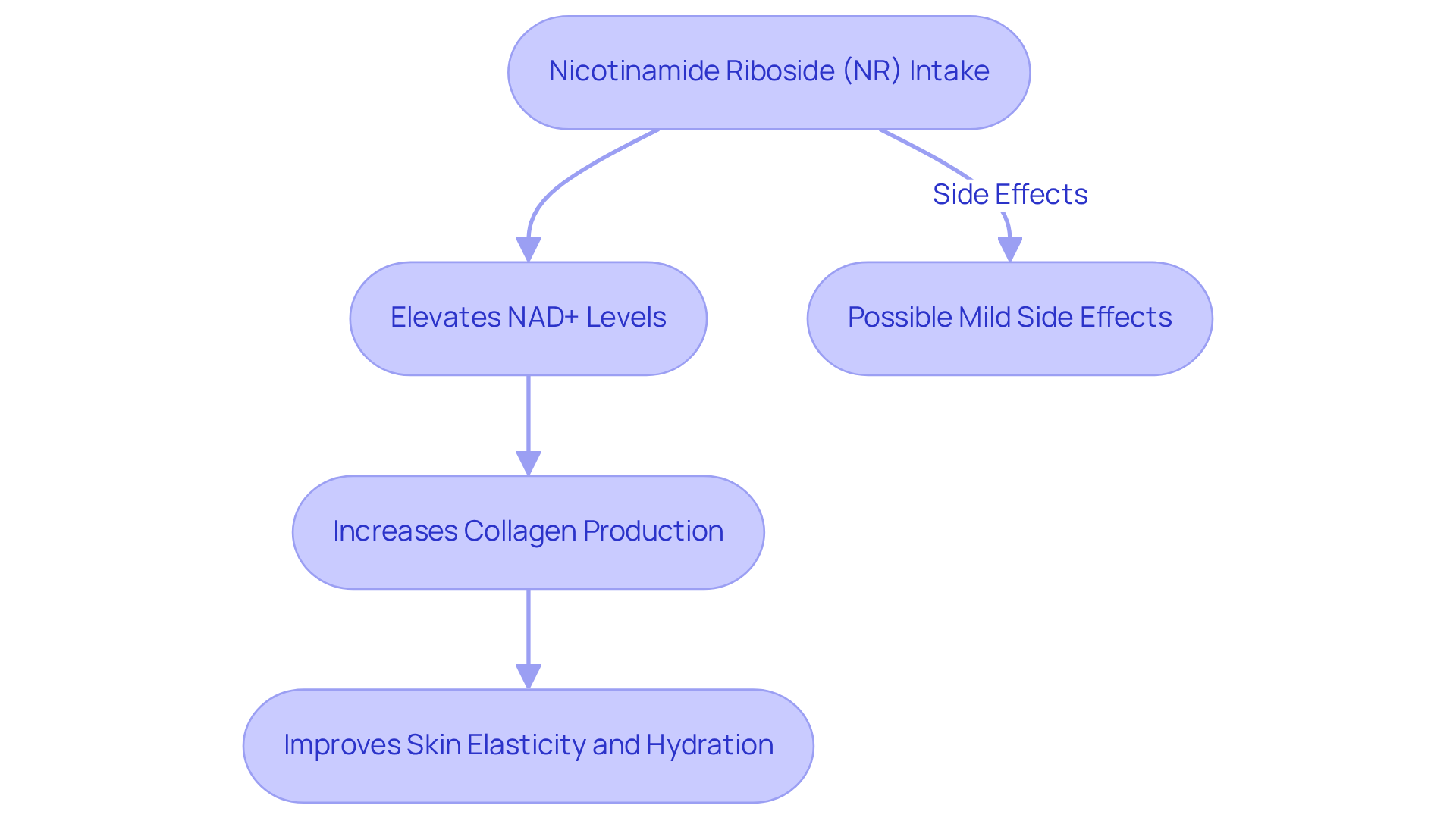 This flowchart illustrates how taking nicotinamide riboside can lead to increased NAD+ levels, which in turn boosts collagen production, enhancing skin elasticity and hydration. The side effects are noted to remind users that while NR is generally well-tolerated, some may experience mild issues. This flowchart illustrates how taking nicotinamide riboside can lead to increased NAD+ levels, which in turn boosts collagen production, enhancing skin elasticity and hydration. The side effects are noted to remind users that while NR is generally well-tolerated, some may experience mild issues.