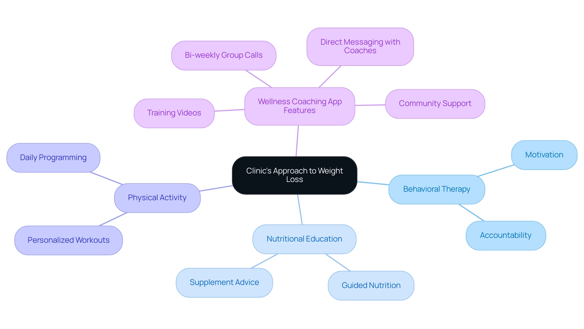 The central node represents the overall approach, with branches showing key components and their respective features.