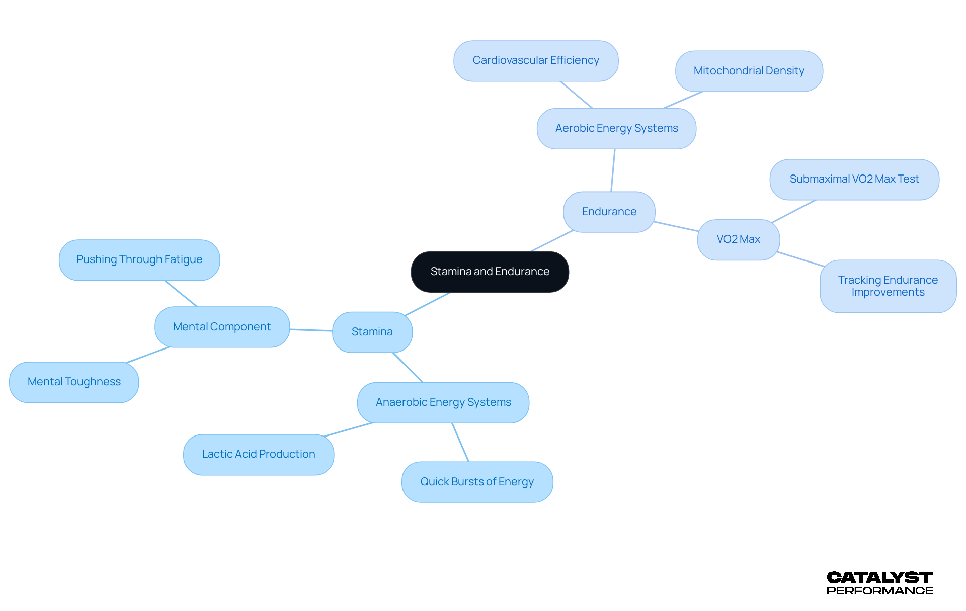The central node represents the main topic, while the branches show the key aspects of stamina and endurance. Each sub-branch provides more detail, helping you see how these concepts relate to your fitness journey.