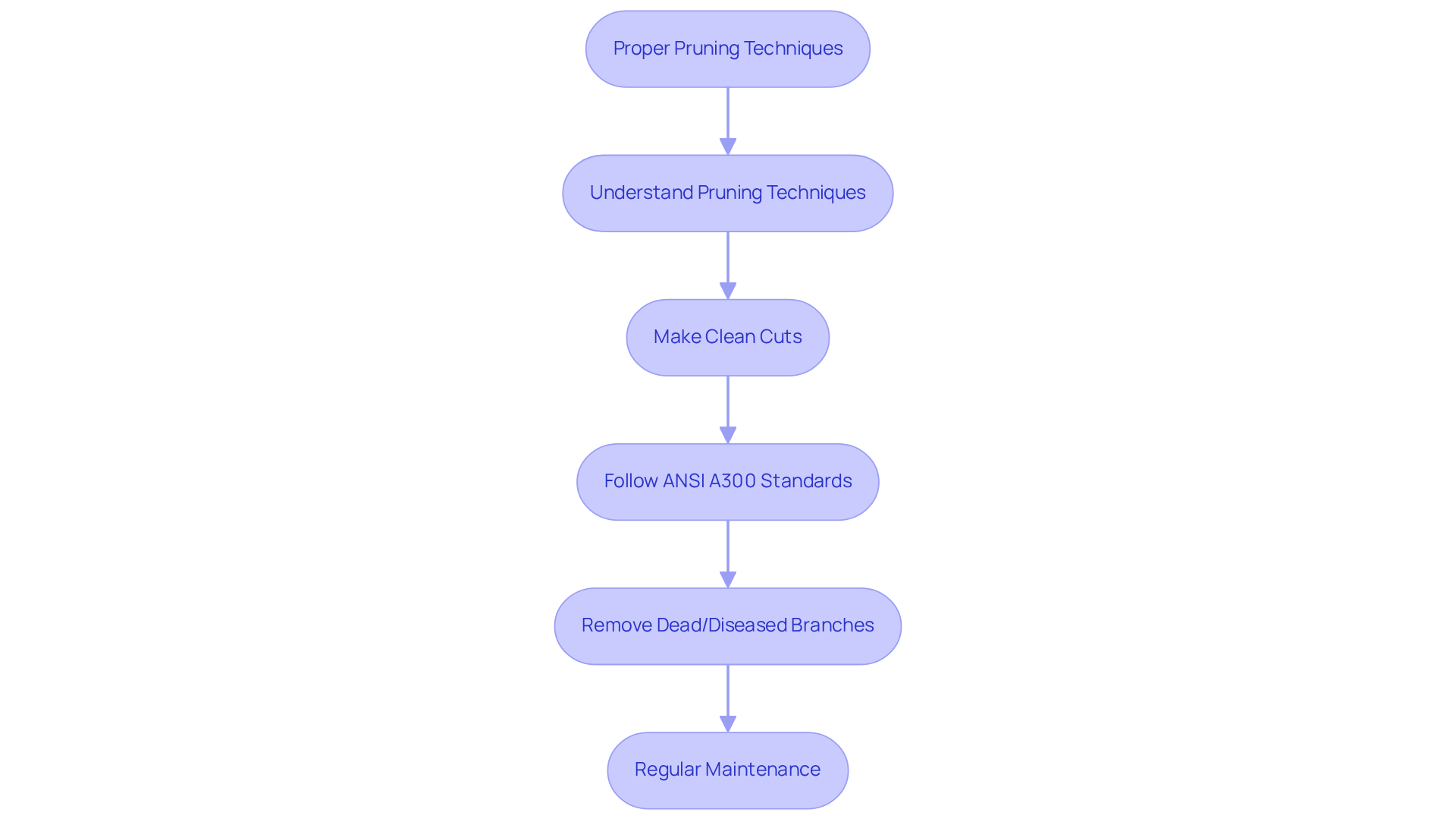 Follow the arrows to see the steps involved in pruning and maintaining trees. Each step is crucial for ensuring trees remain healthy and safe.