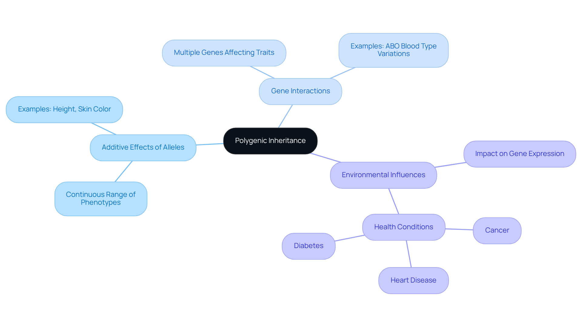 This mindmap starts with the main idea of polygenic inheritance at the center. Each branch represents a key characteristic, and you can follow the lines to see how they connect to examples and implications in genetics. The different colors help distinguish between the various aspects, making it easier to understand the complex relationships. This mindmap starts with the main idea of polygenic inheritance at the center. Each branch represents a key characteristic, and you can follow the lines to see how they connect to examples and implications in genetics. The different colors help distinguish between the various aspects, making it easier to understand the complex relationships.