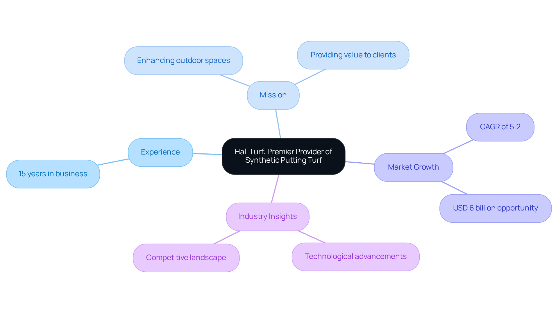 The central node represents Hall Turf, with branches showing key aspects of the business. Each branch highlights important information, making it easy to see how Hall Turf operates and its role in the growing synthetic grass market.