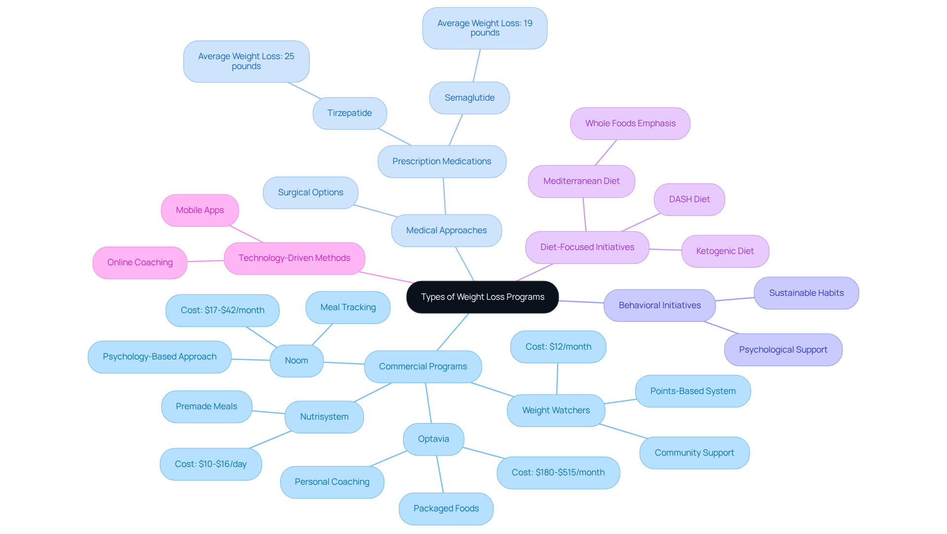 The central node represents the main topic of weight loss programs, while the branches show different categories. Each sub-branch provides specific examples or details about that category, helping you see how they relate and differ.