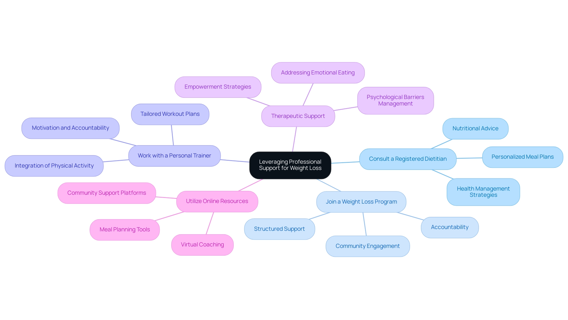 The central node represents the goal of weight loss; each branch illustrates a different professional support option, with sub-branches detailing their unique contributions.