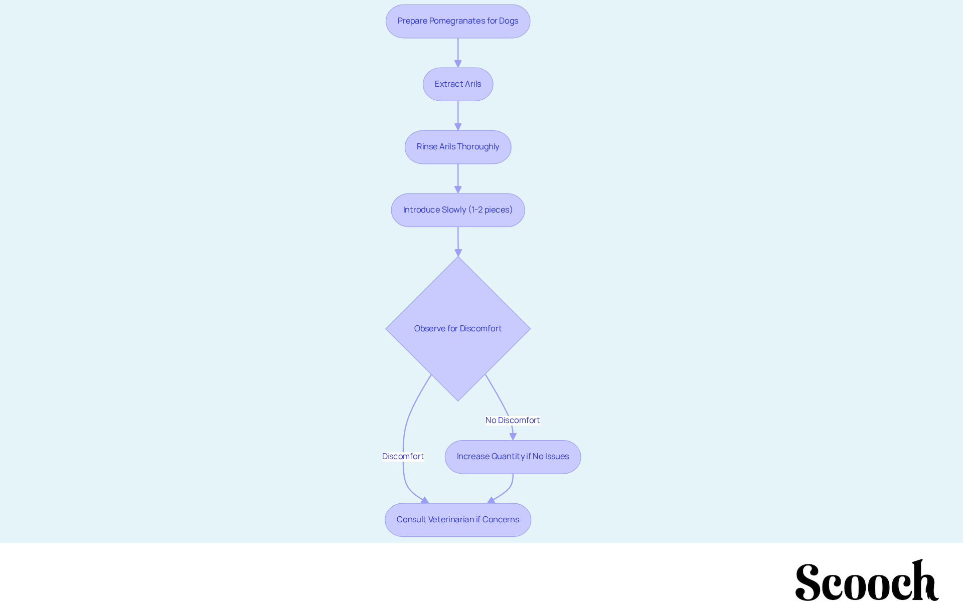 Follow the steps in the flowchart to safely prepare and serve pomegranates to your dog. Each box represents an action you need to take, and the arrows show you the order to follow. Make sure to observe your dog after introducing new foods and consult your vet if you have any concerns.