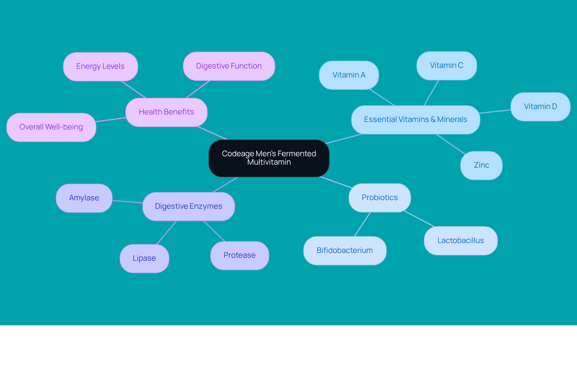 The central node represents the multivitamin, while the branches show its key components and benefits. Each color-coded branch helps you understand how different elements contribute to overall health and vitality.