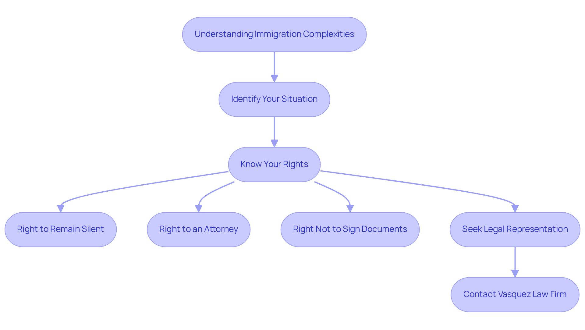 Each box represents a step or right you have when dealing with immigration issues. Follow the arrows to see the order in which you should approach these steps.