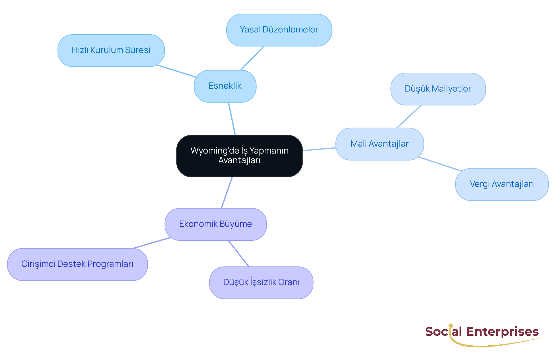 Merkezdeki fikirden başlayarak, esneklik, mali avantajlar ve ekonomik büyüme gibi ana konuları takip edin. Her dal, bu konularla ilgili daha spesifik bilgileri gösterir. Renkli dallar sayesinde hangi konunun hangi avantajla ilgili olduğunu kolayca anlayabilirsiniz.