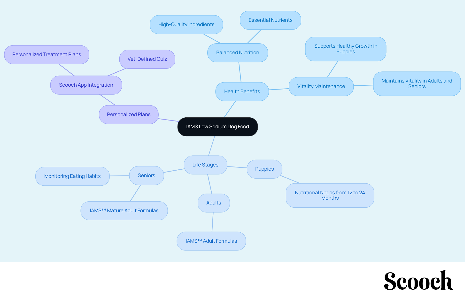 The central node represents IAMS dog food, with branches showing its health benefits, how it caters to different life stages, and the personalized plans available through the Scooch app. Each branch helps you see how IAMS supports your dog's health. The central node represents IAMS dog food, with branches showing its health benefits, how it caters to different life stages, and the personalized plans available through the Scooch app. Each branch helps you see how IAMS supports your dog's health.