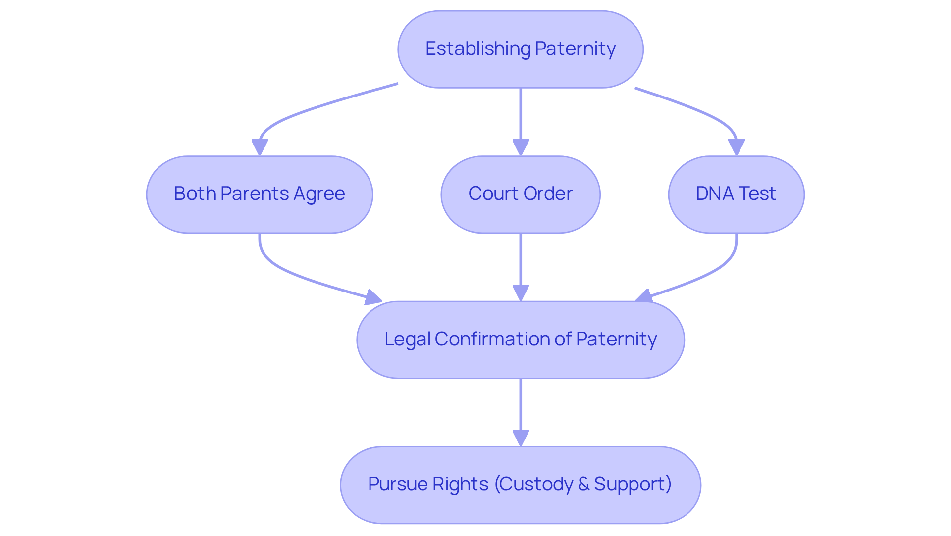 This flowchart outlines the steps biological fathers can take to establish paternity. Start at the top with 'Establishing Paternity' and follow the arrows down to see the different ways to confirm paternity and what rights can be pursued afterward. This flowchart outlines the steps biological fathers can take to establish paternity. Start at the top with 'Establishing Paternity' and follow the arrows down to see the different ways to confirm paternity and what rights can be pursued afterward.