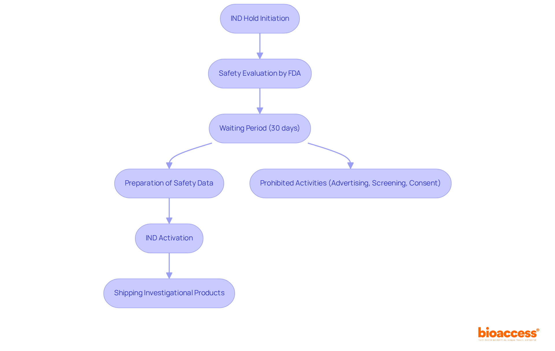 Follow the arrows to see how the IND hold affects clinical trial timelines. Each box shows what happens at that stage, including prohibited activities during the hold and what can be done once the IND is active.