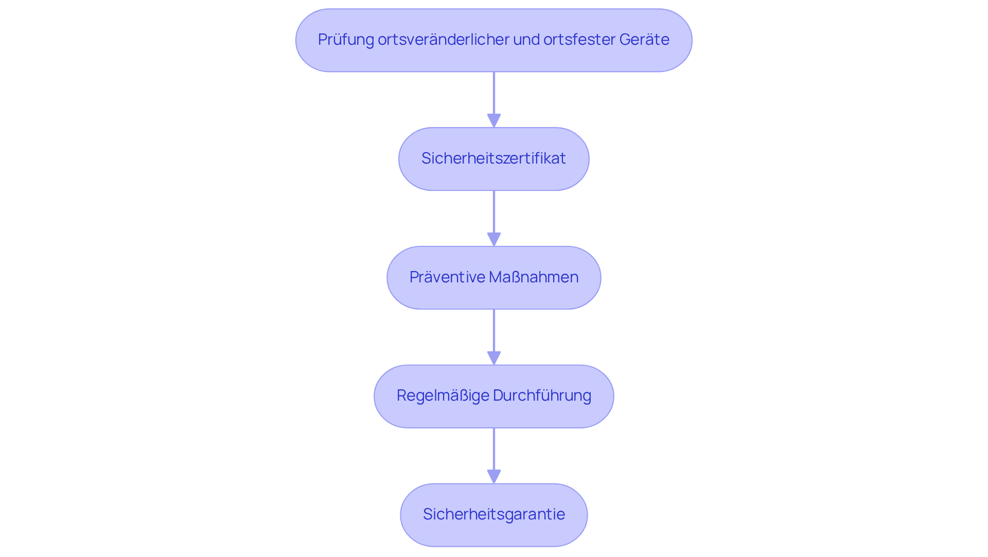 Jeder Schritt zeigt einen Teil des E-Check-Prozesses - folgen Sie den Pfeilen, um zu sehen, wie die Prüfungen durchgeführt werden und welche Ergebnisse sie liefern.