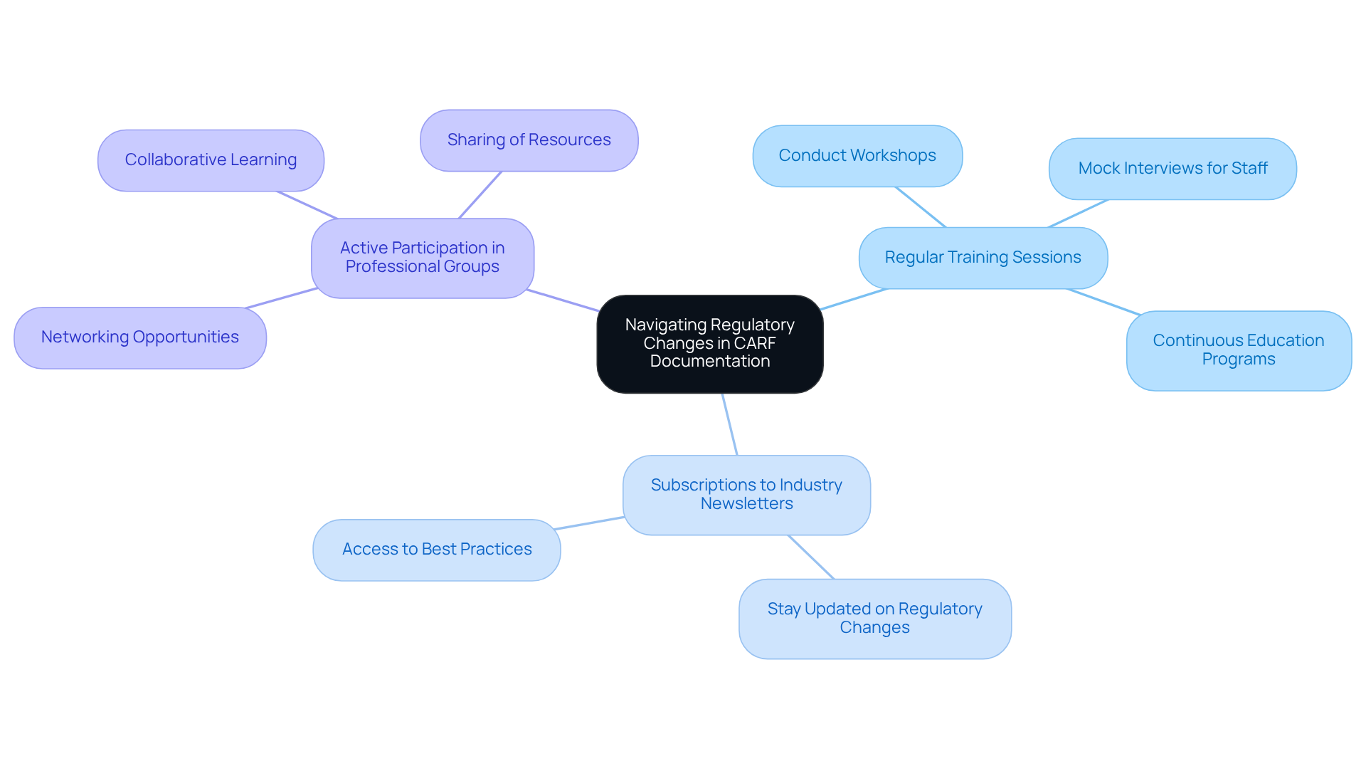 The center represents the main topic, and the branches show different strategies organizations can use to stay compliant. Each strategy can have its own details, helping you see how they connect to the overall goal.