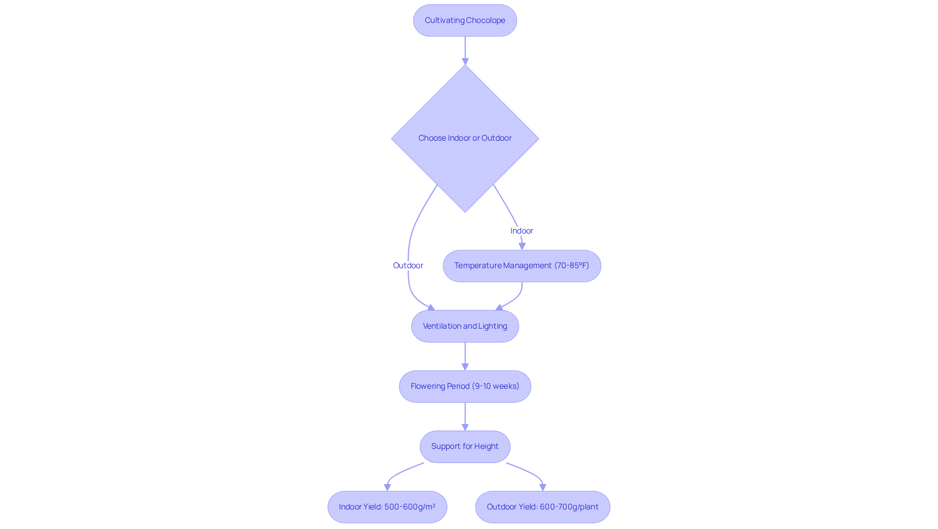 This flowchart outlines the steps for cultivating Chocolope. Follow the arrows to see each step, from choosing where to grow to understanding yield expectations. The notes provide important information about temperatures and challenges to watch out for.