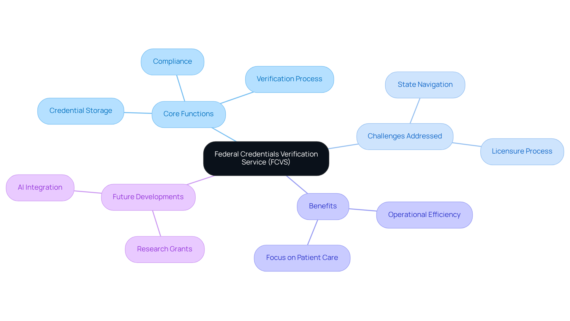 The central node represents the FCVS, with branches showing its core functions, the challenges it addresses, the benefits it provides, and future developments. Each branch helps you understand how the FCVS operates and its importance in the healthcare sector.