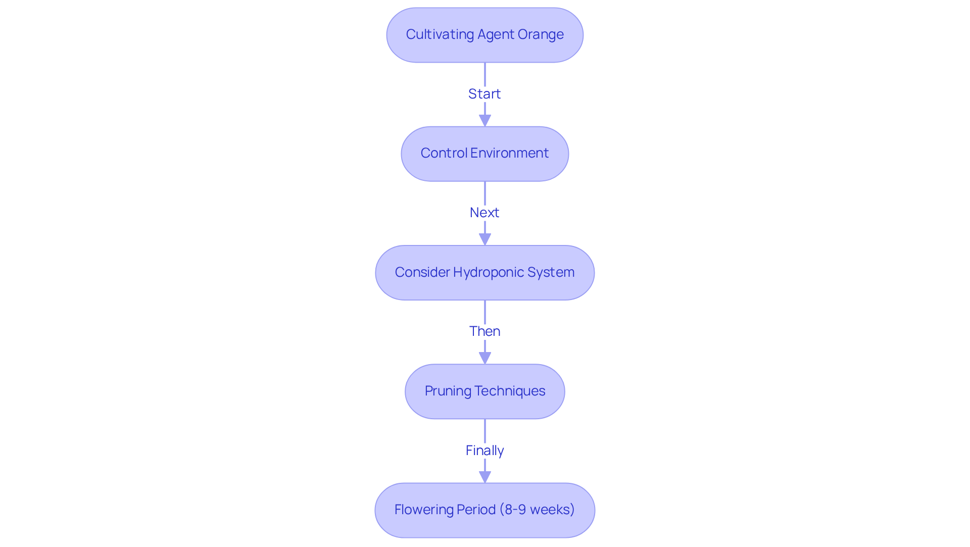 Follow the flow from the start of cultivation to the flowering stage. Each step shows what you need to do to grow healthy plants — it's all about creating the right environment and using the right techniques!